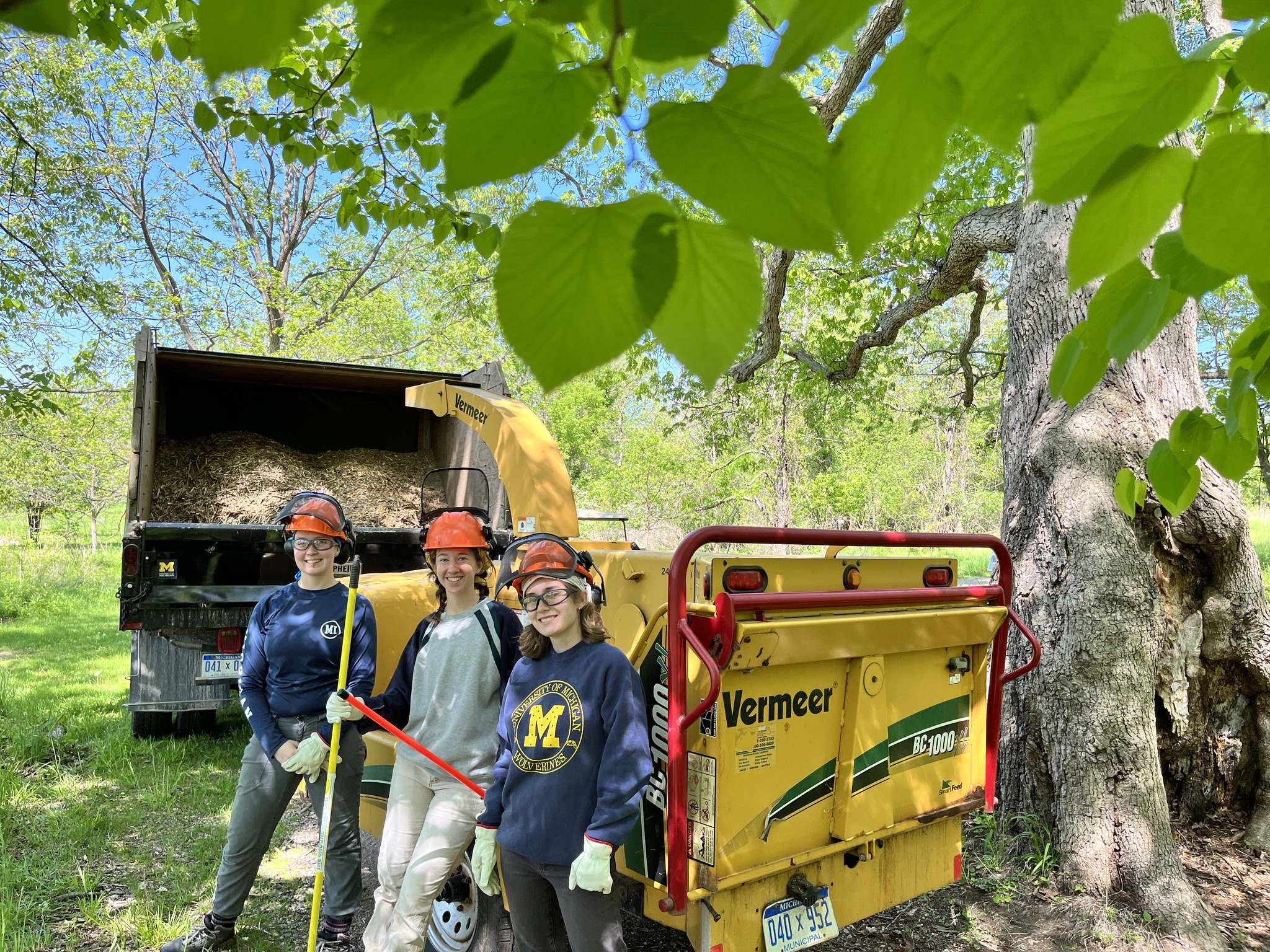 Internships | Matthaei Botanical Gardens & Nichols Arboretum
