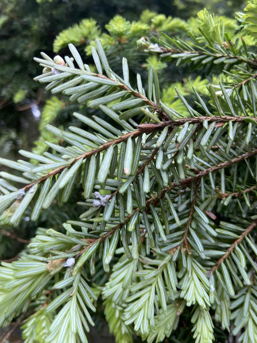 UM professor is developing precision medicine to stop a devastating ...