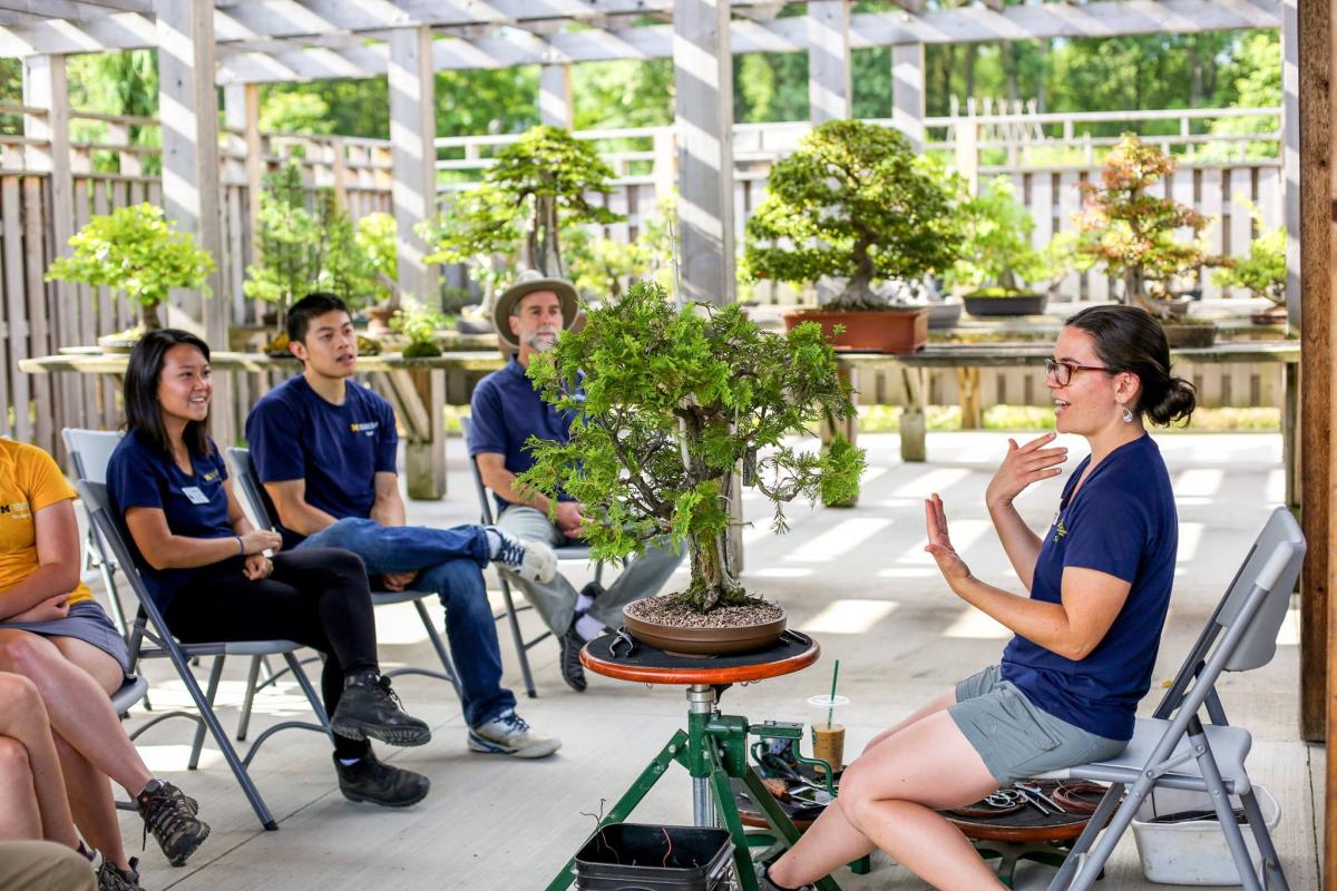 Behind the Bonsai: Get to Know Carmen Leskoviansky | Matthaei Botanical ...