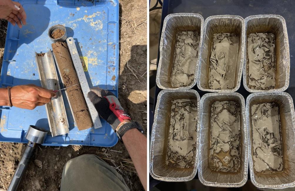 Sustainable Soil: Agricultural Experiments at Matthaei Botanical ...