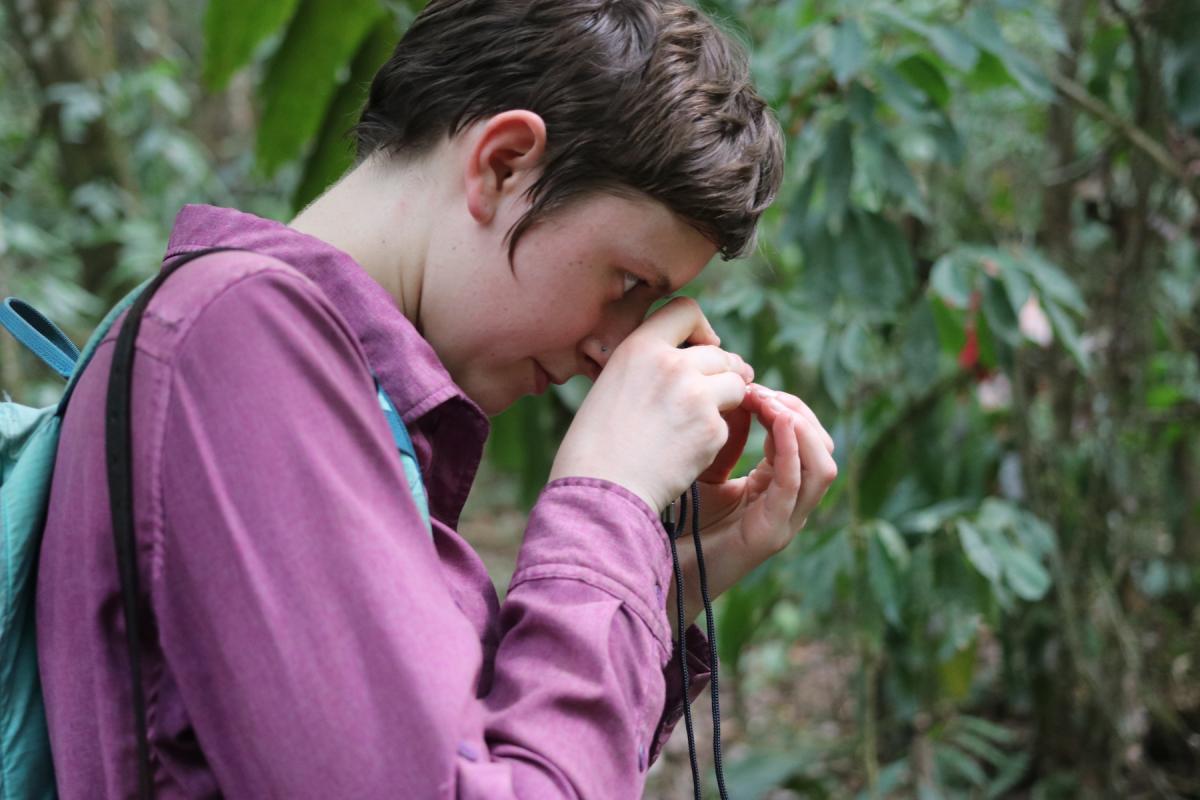 Leaves Under the Lens: An Interactive Conservatory Exhibit | Matthaei ...