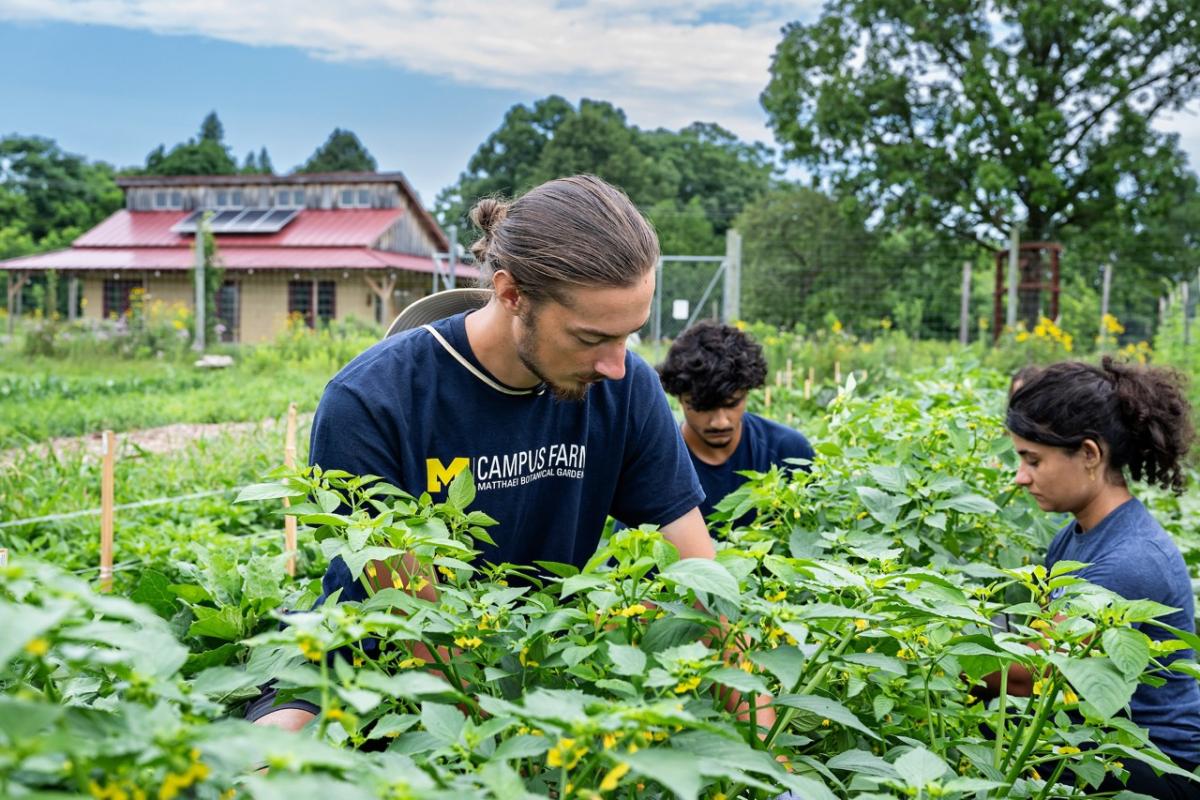 Campus Farm Marks Milestone in Student-Led Carbon Neutrality Effort ...
