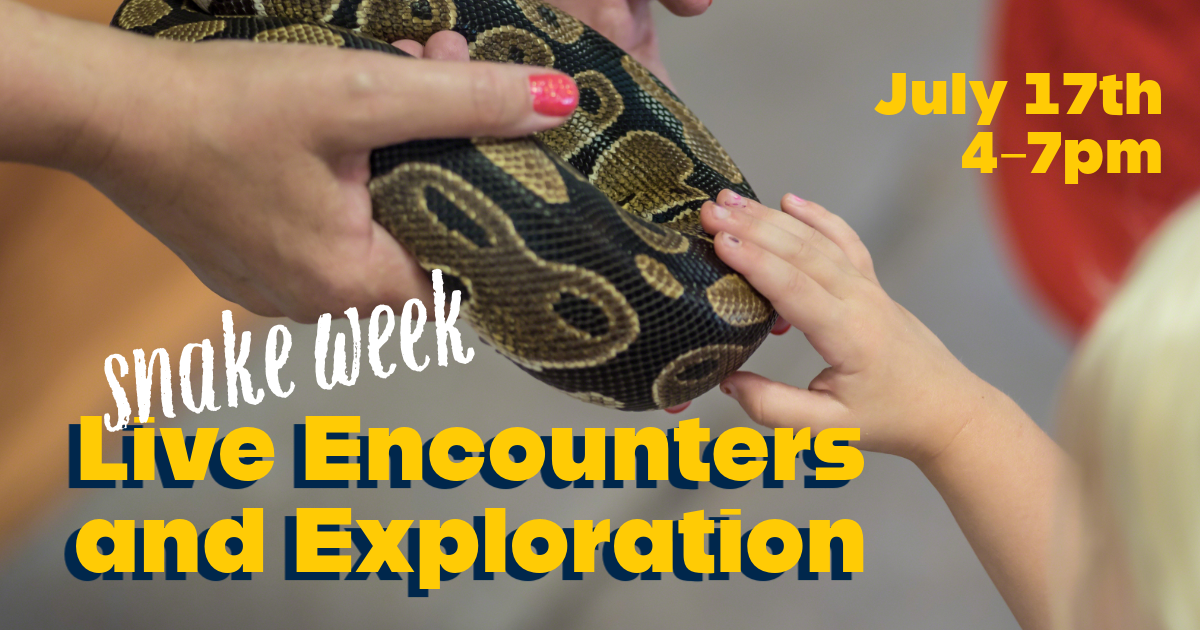 Snake Week: Live Encounters and Exploration with UM Museum of Zoology ...