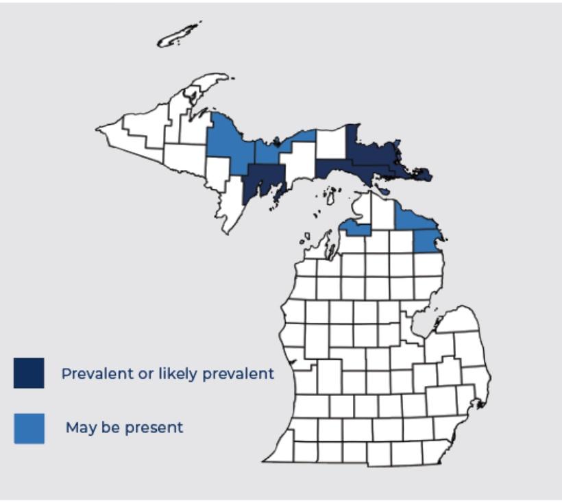 Celebrating Our Cobble Beach Garden | Matthaei Botanical Gardens ...