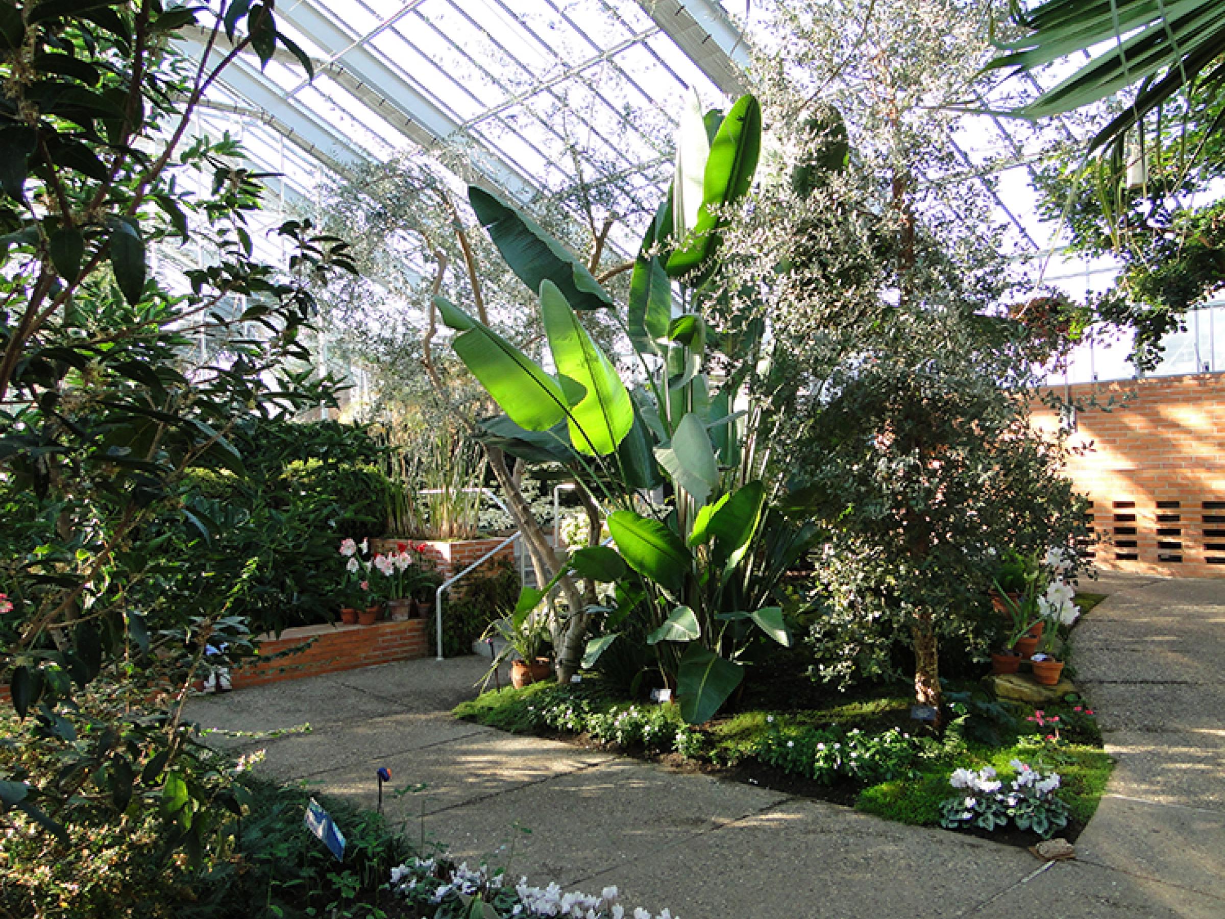 Conservatory | Matthaei Botanical Gardens & Nichols Arboretum