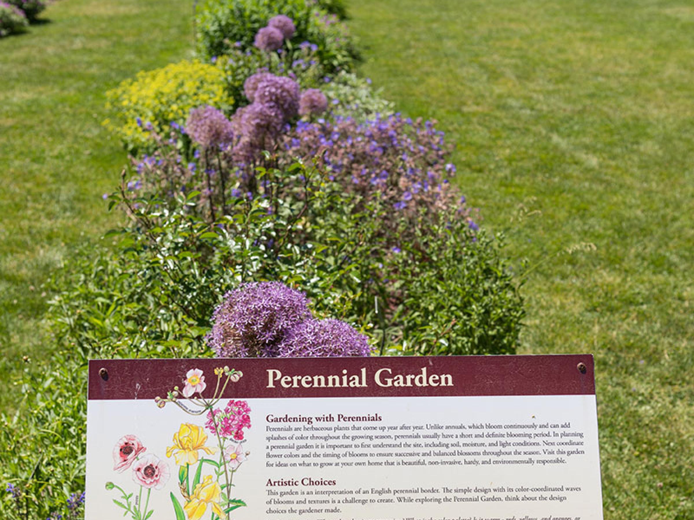 Perennial Garden | Matthaei Botanical Gardens & Nichols Arboretum