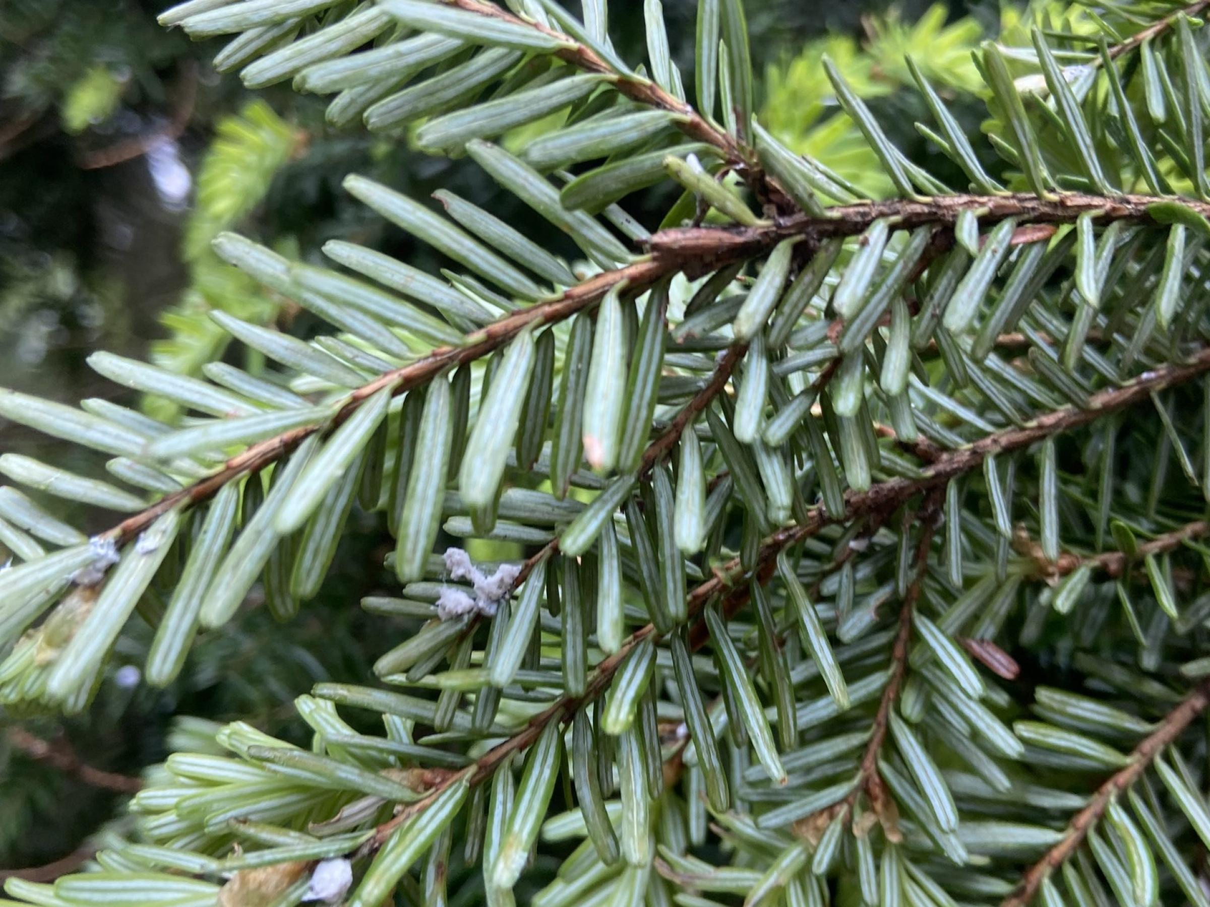 UM professor is developing precision medicine to stop a devastating ...