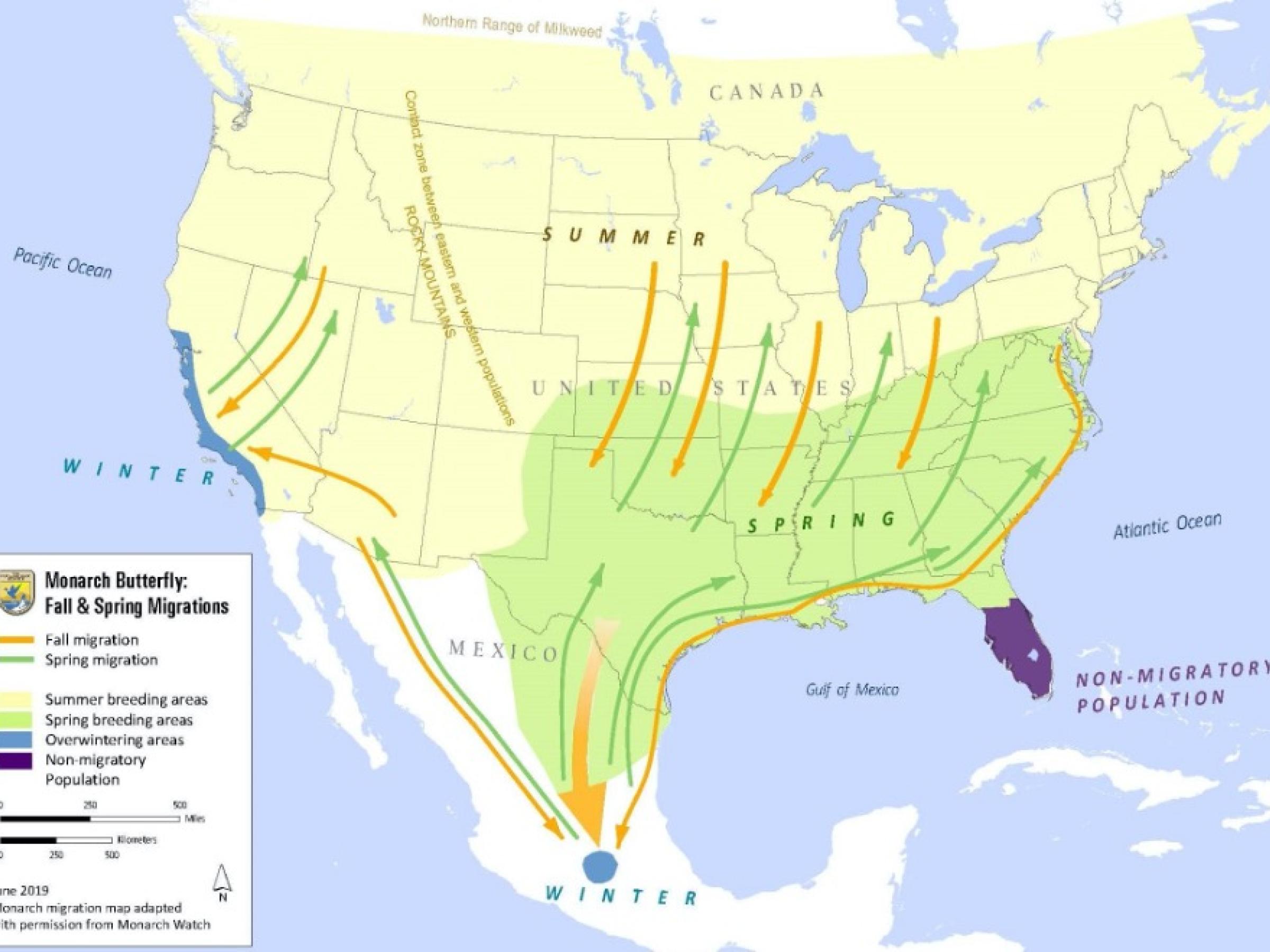What Makes a Migratory Monarch? | Matthaei Botanical Gardens & Nichols ...