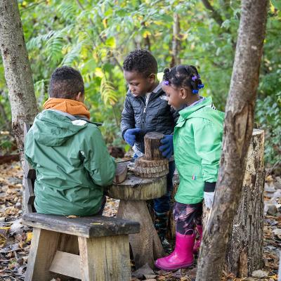 Gardens at Matthaei | Matthaei Botanical Gardens & Nichols Arboretum